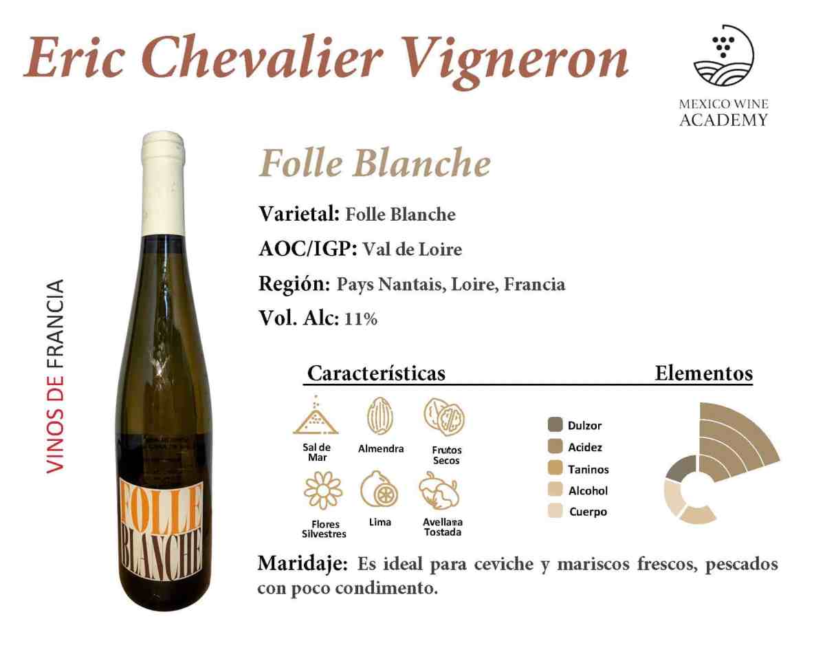Vino Blanco: Historia, Proceso y Selección - Mexico Wine Academy