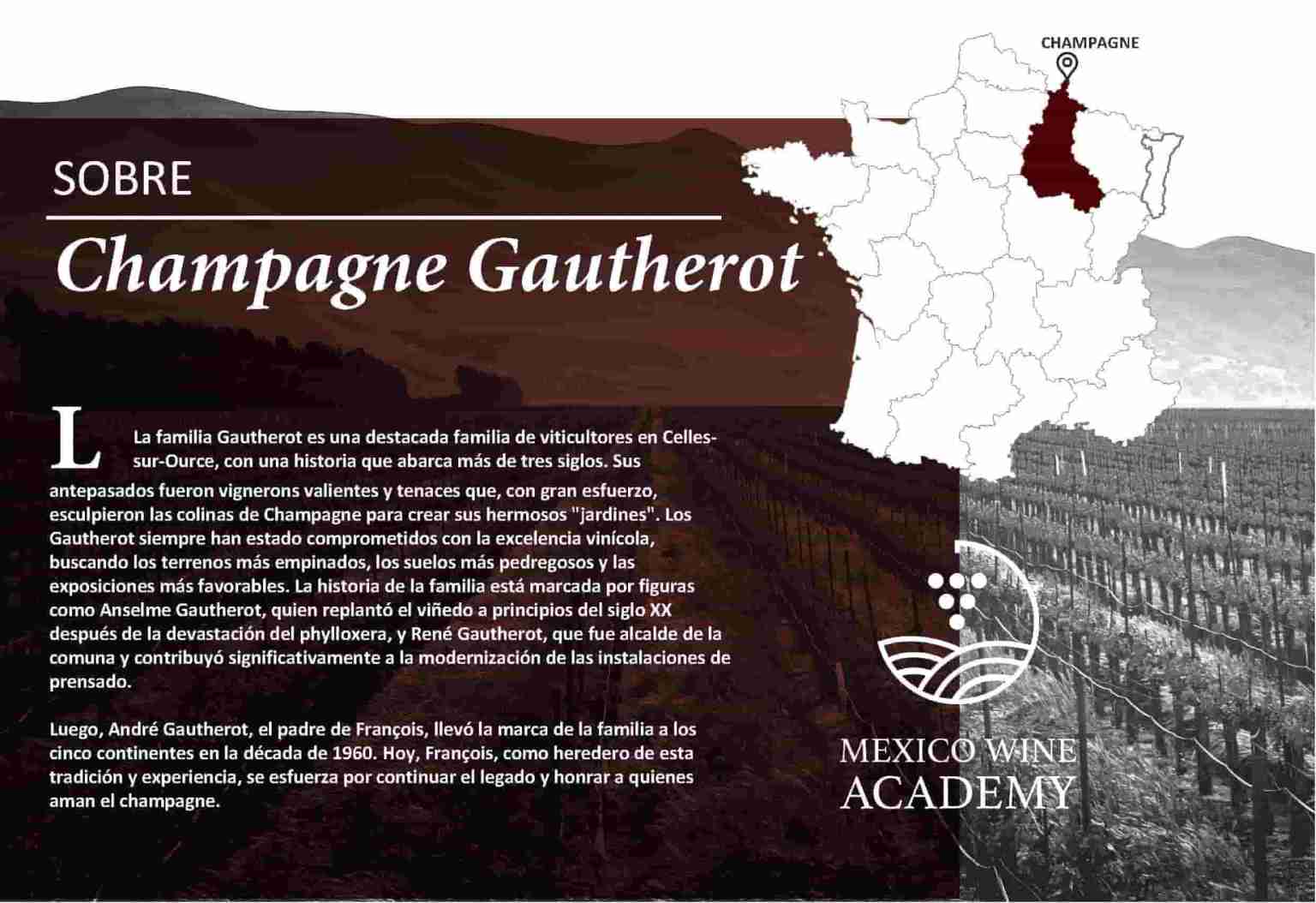 Champagne: la Guía Definitiva - Mexico Wine Academy