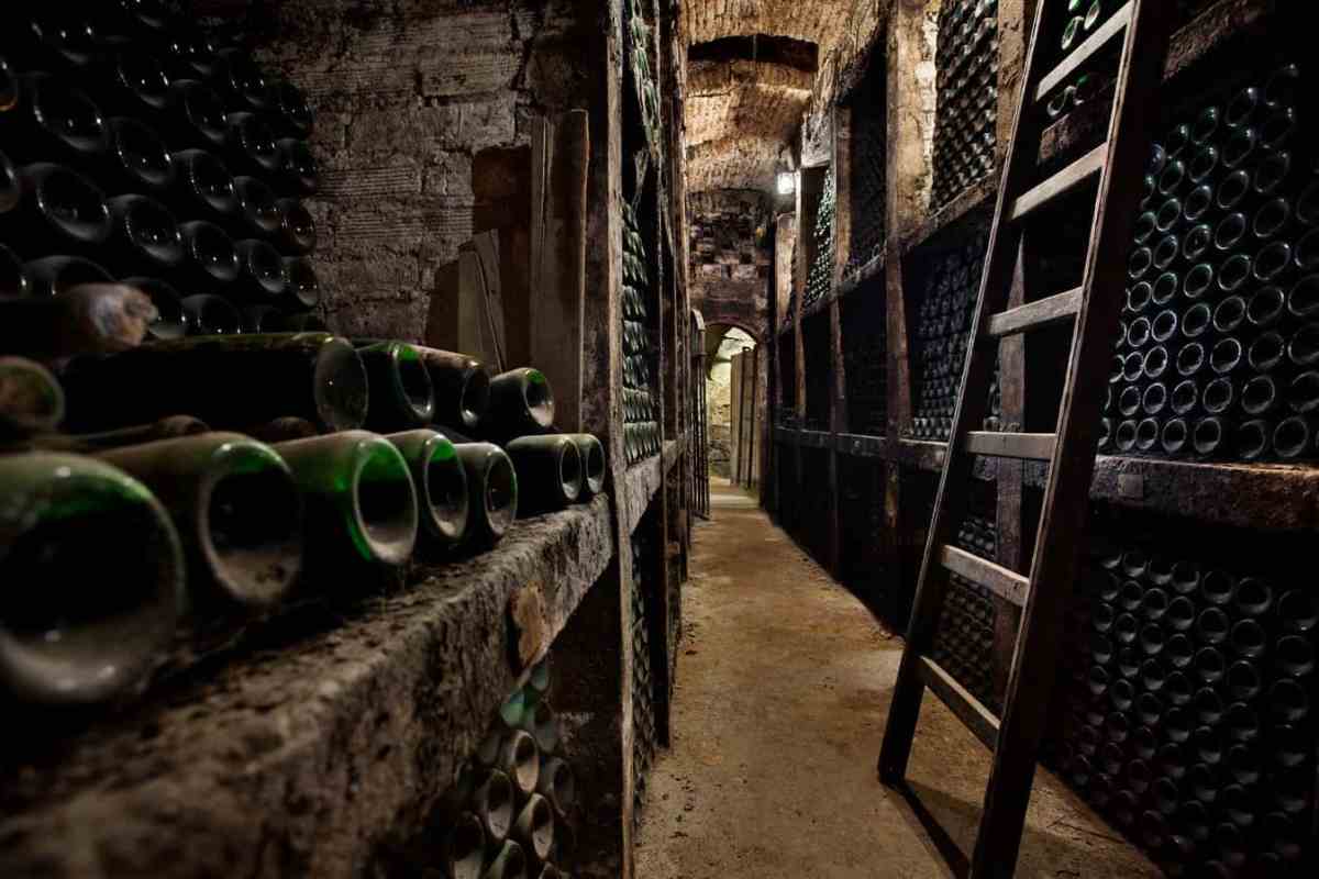 El Vino Generoso: Historia y Técnicas - Mexico Wine Academy