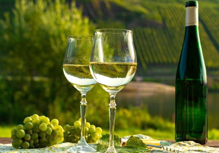 Vino Blanco: Historia, Proceso y Selección - Mexico Wine Academy