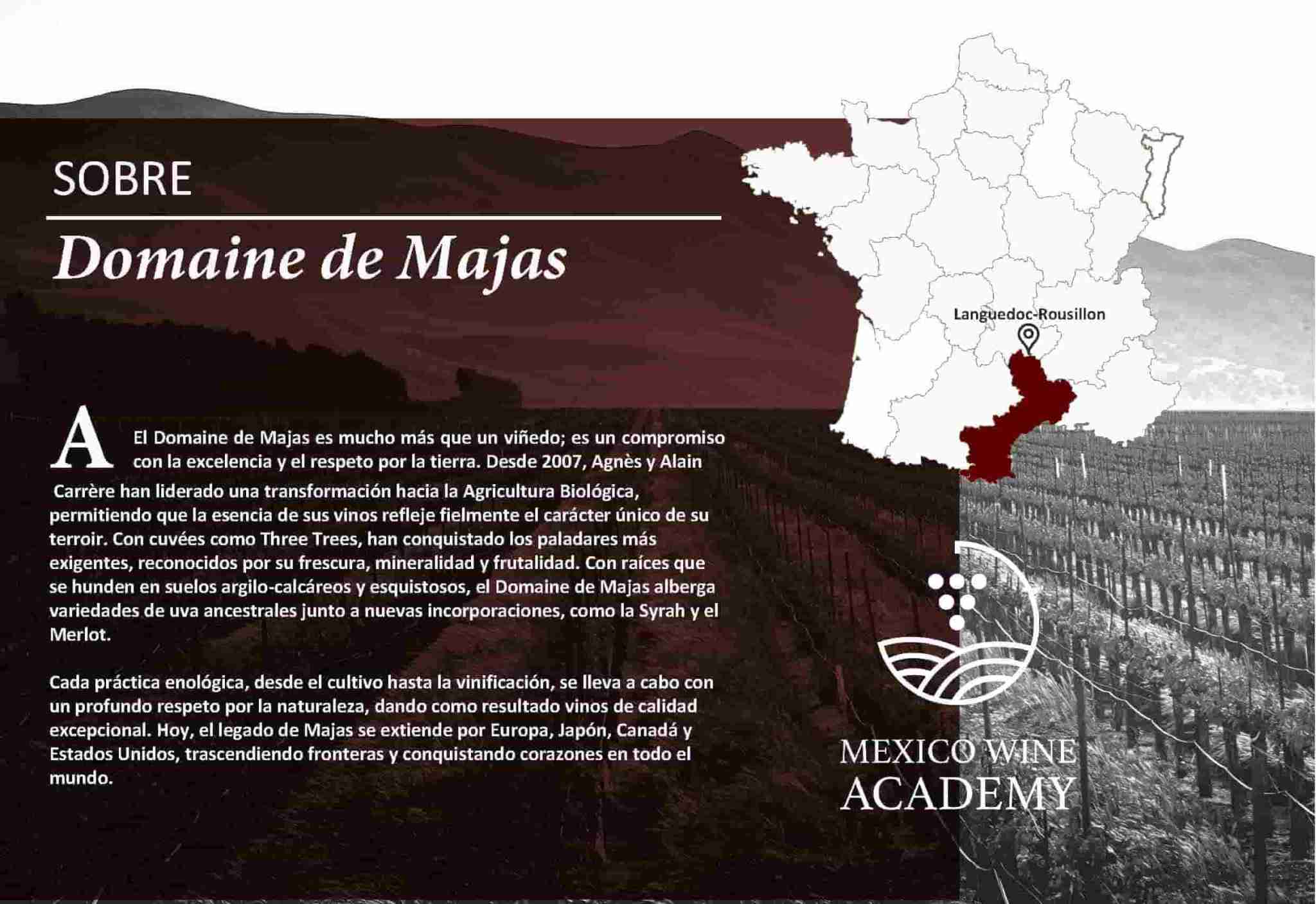 El Vino Generoso: Historia y Técnicas - Mexico Wine Academy