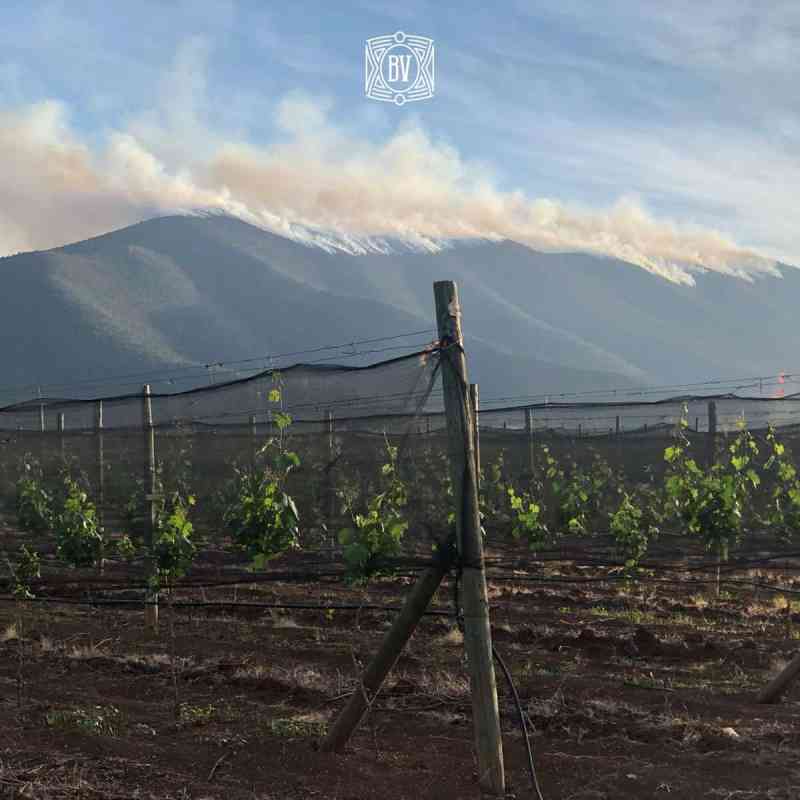 Bodegas del Viento: Viñedos de Altura, Vinos de Montaña - Mexico Wine ...