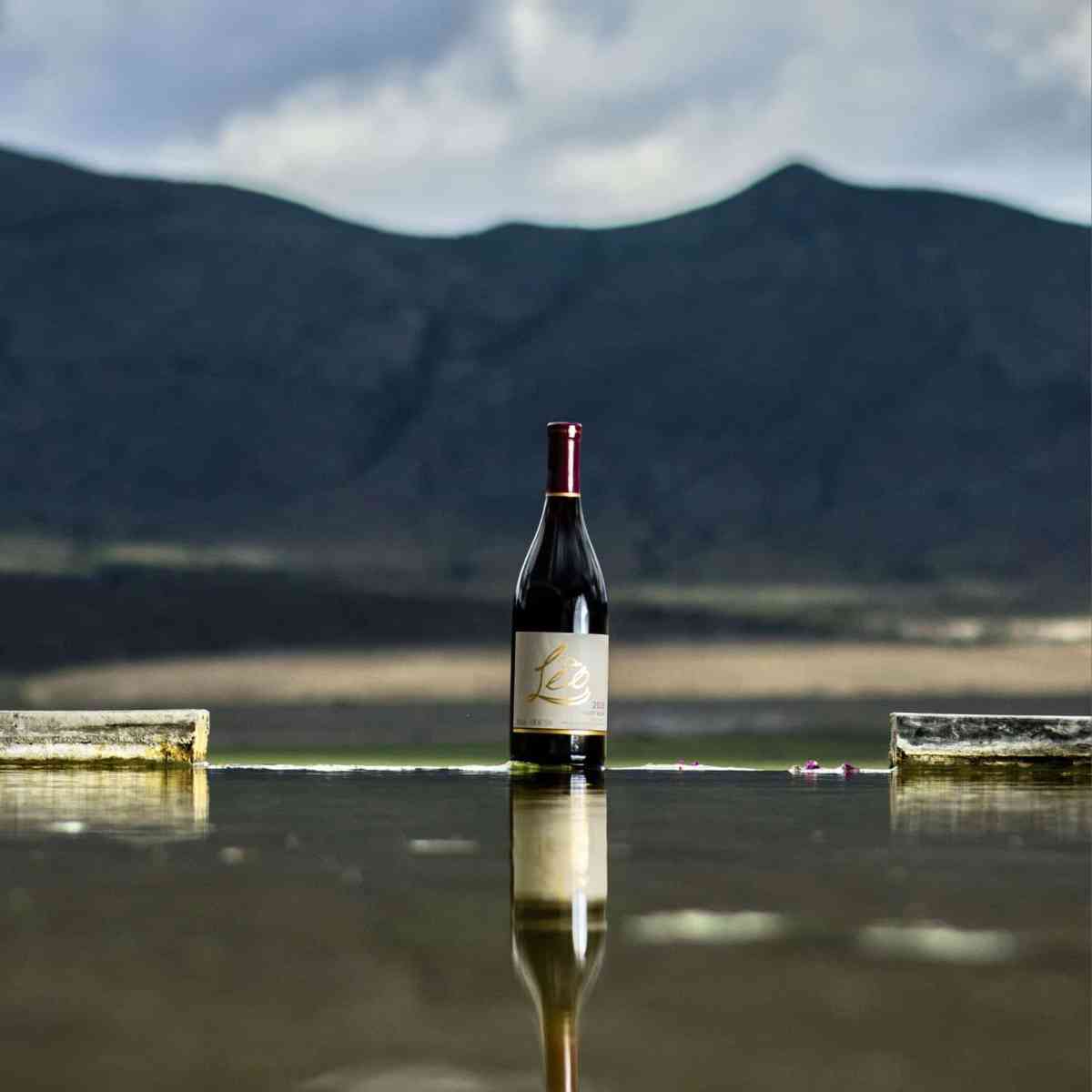 Viñedos Don Leo: El Arte de Crear Vinos de Clase Mundial - Mexico Wine ...
