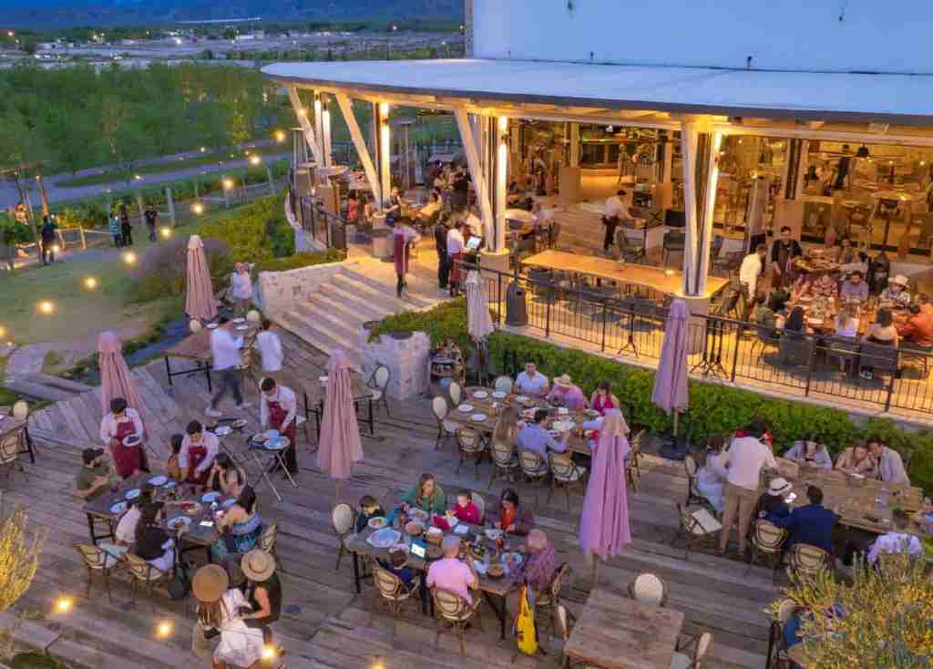 Vinícola Parvada: Pasión por el Vino y Hospitalidad en Coahuila ...