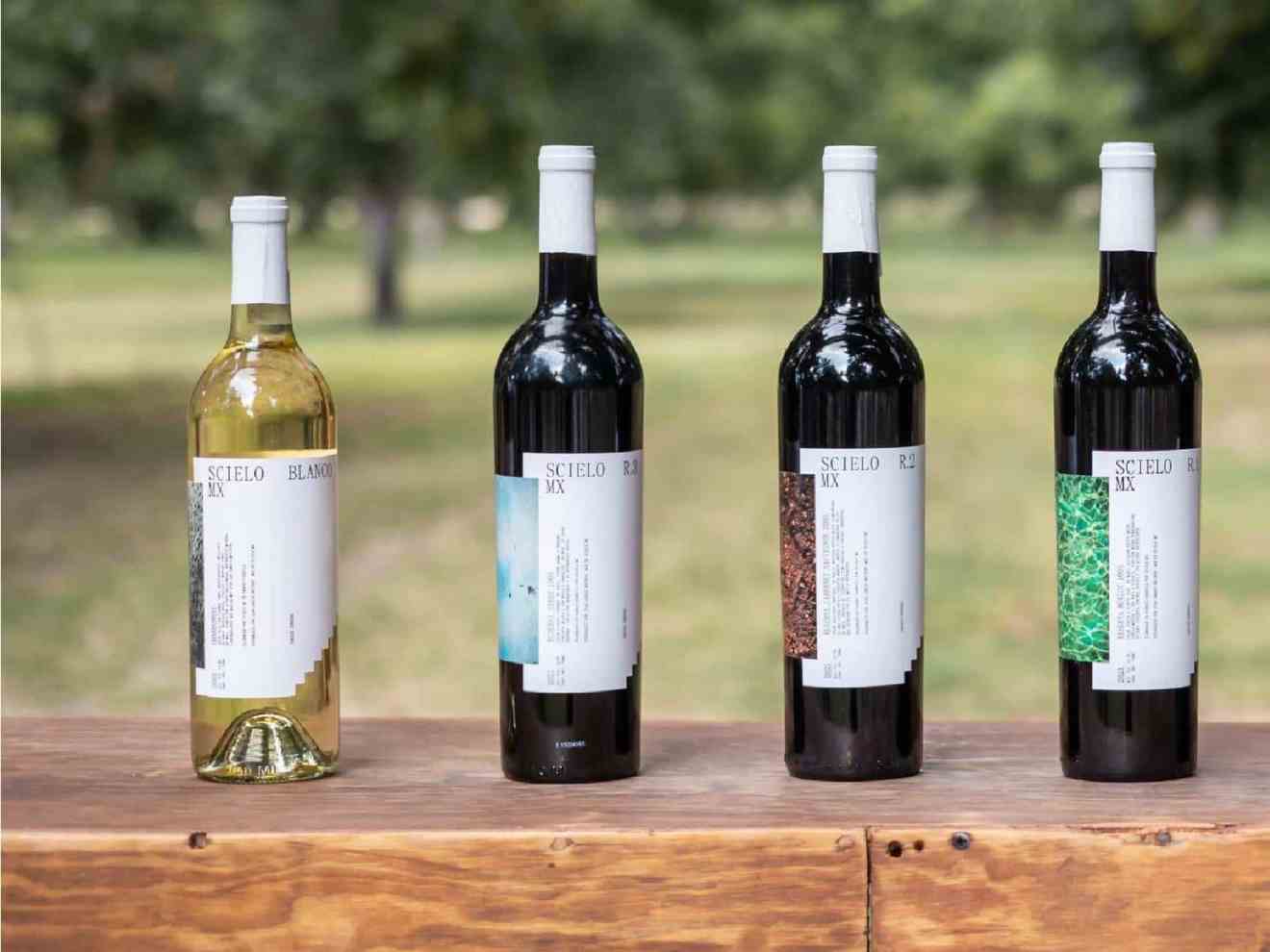 RGMX: Tradición Mexicana con Toques Contemporáneos - Mexico Wine Academy