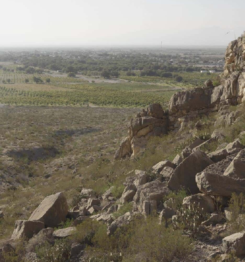 Tierra María: Naturaleza, Lujo y Propósito - Mexico Wine Academy