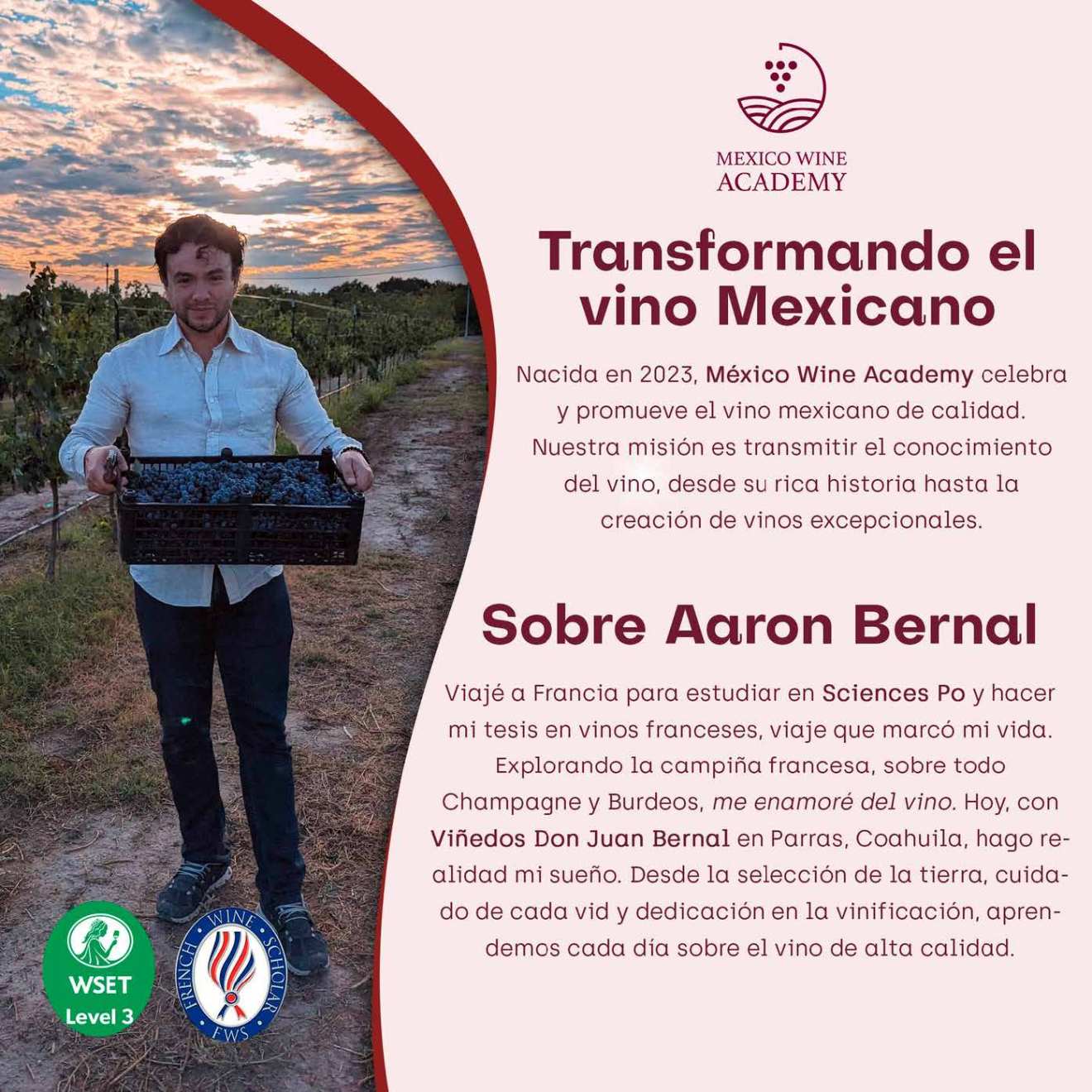 El Vino Generoso: Historia y Técnicas - Mexico Wine Academy