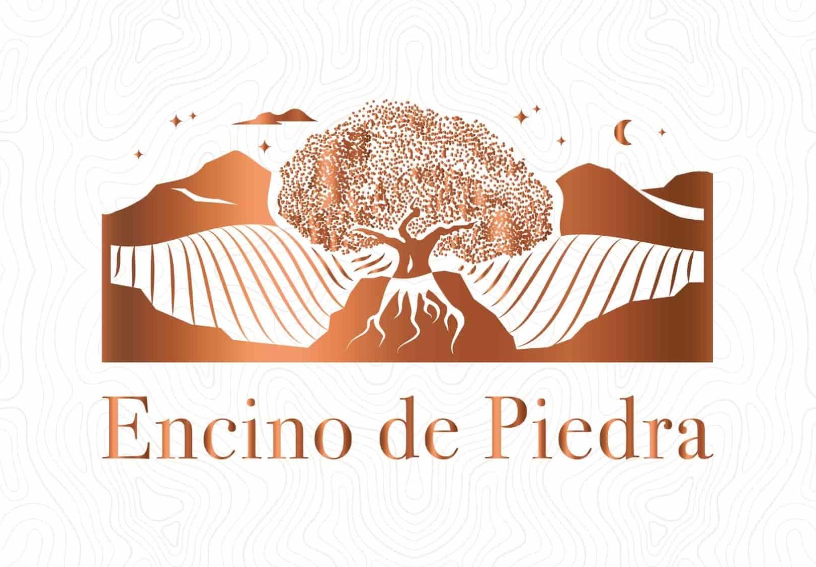 Encino de Piedra - Mexico Wine Academy