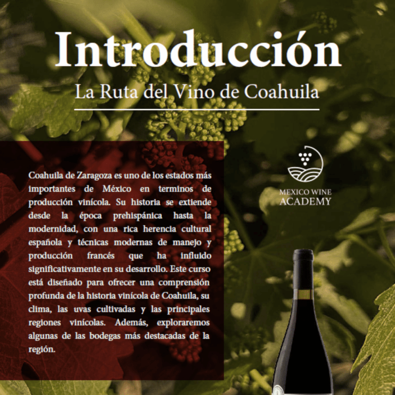 El Vino Generoso: Historia y Técnicas - Mexico Wine Academy