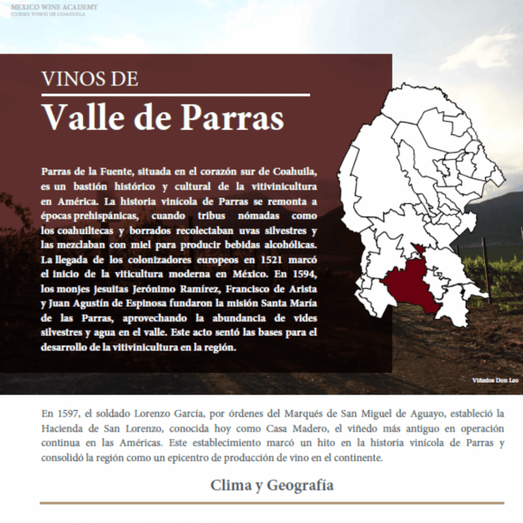 Parras de la Fuente: Historia, Enología y las Casas más Célebres ...