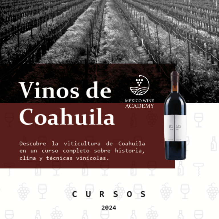 El Vino Generoso: Historia y Técnicas - Mexico Wine Academy